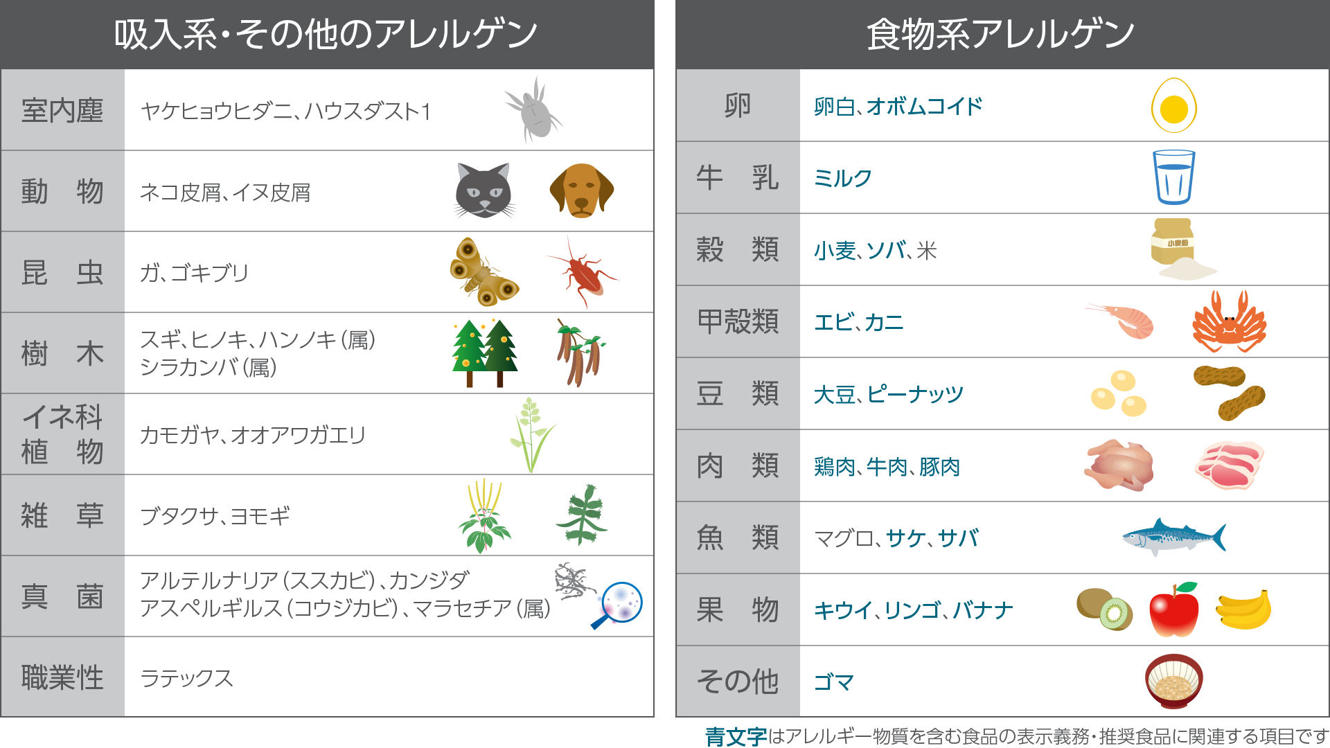 当院で可能な検査｜まつお耳鼻咽喉科クリニック｜住之江公園駅すぐの耳鼻咽喉科